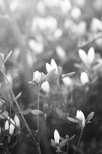 2022 Black & White Photography – Rebecca Riddle